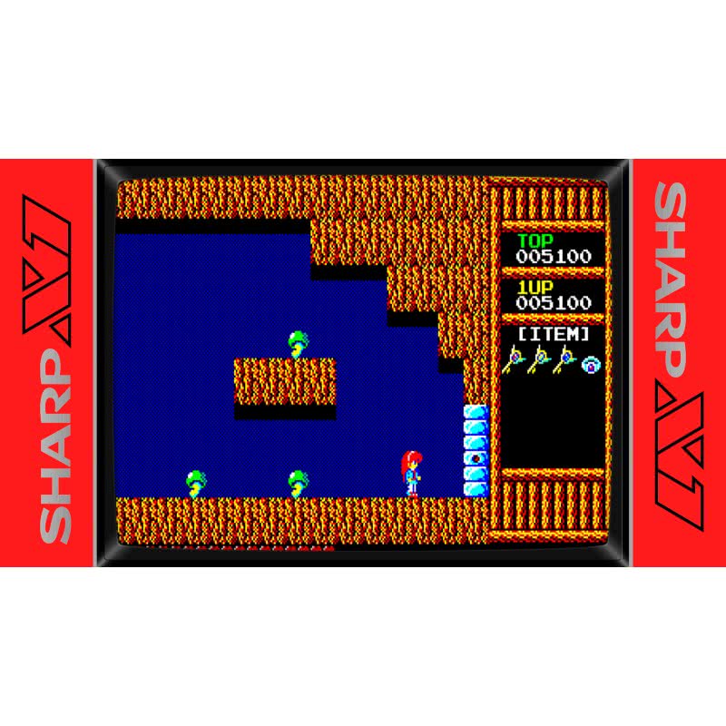 RETROPIE 4.7.3 256 GB IMAGE FOR PI4 - PI400